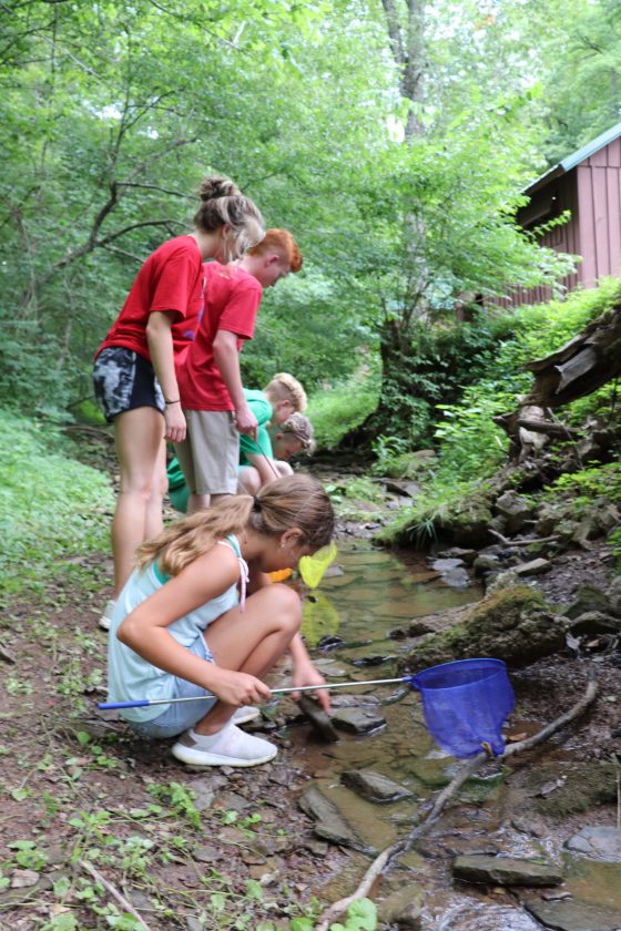 Camp Hervida adapts to COVID restrictions | News, Sports, Jobs ...